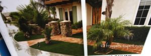 PreGra Fescue Artificial Grass at Costco! | Frugal Hotspot