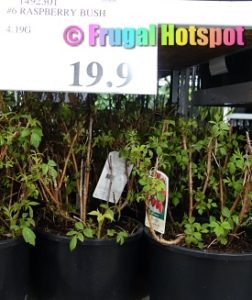 Costco Gardening Deals Spring 2021 | Frugal Hotspot