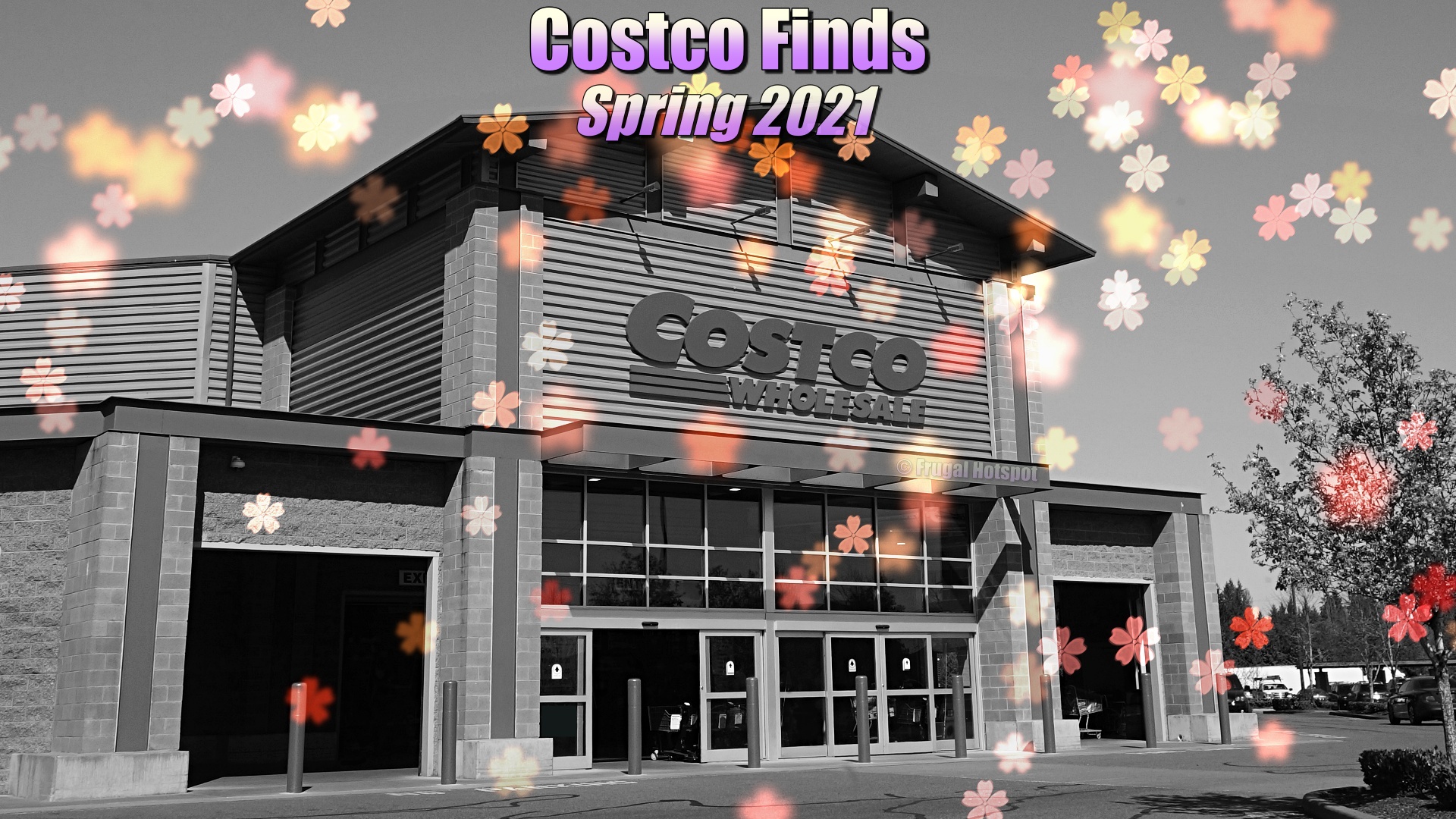 Costco Finds - Spring 2021 (Video) | Frugal Hotspot