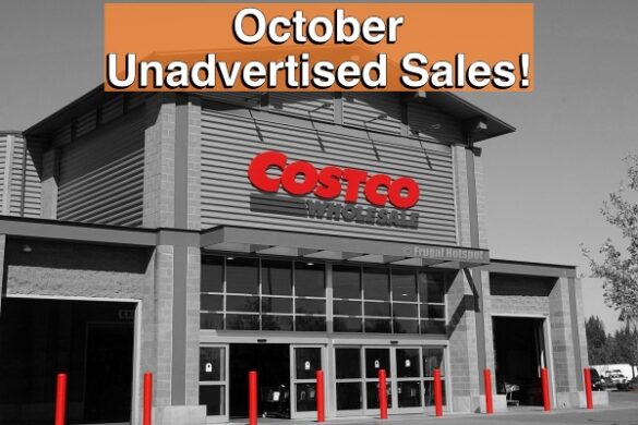 HO Sports Nighthawk 3 Towable at Costco! | Frugal Hotspot