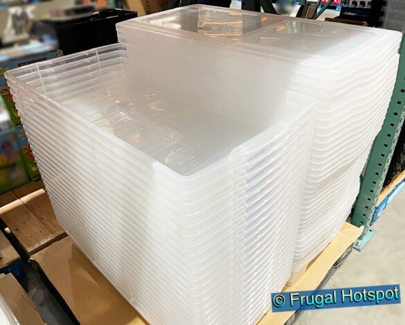Iris Underbed Storage Box - Costco Sale! | Frugal Hotspot