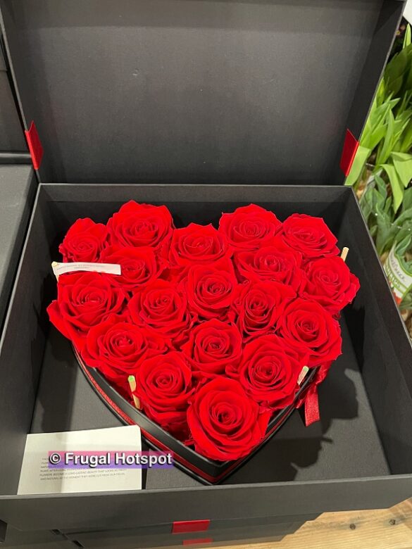 Forever Roses 18 Stem Preserved Roses at Costco!