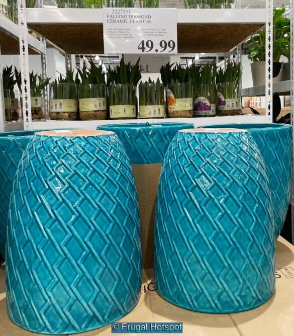 Falling Diamond Ceramic Planter at Costco! | Frugal Hotspot