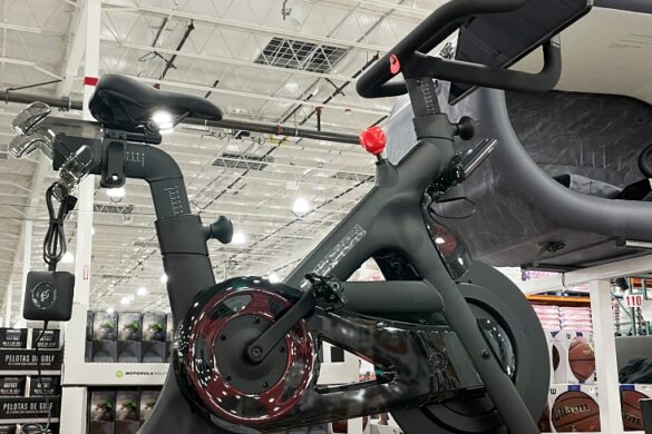 NEW Costco Kirkland Signature Wire Edged Ribbon 2024!