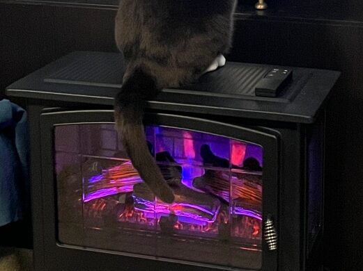 SaluSpa Arctic Ice Cold Plunge Bath - Costco Sale!