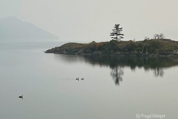 NEW Costco Kirkland Signature Wire Edged Ribbon 2024!