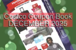 Korean-Style Crispy Potato Corn Dogs at Costco! | Frugal Hotspot